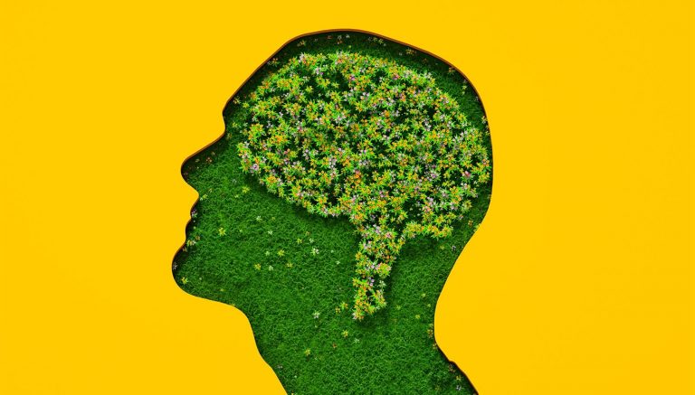 Human brains are getting bigger – Mensa International